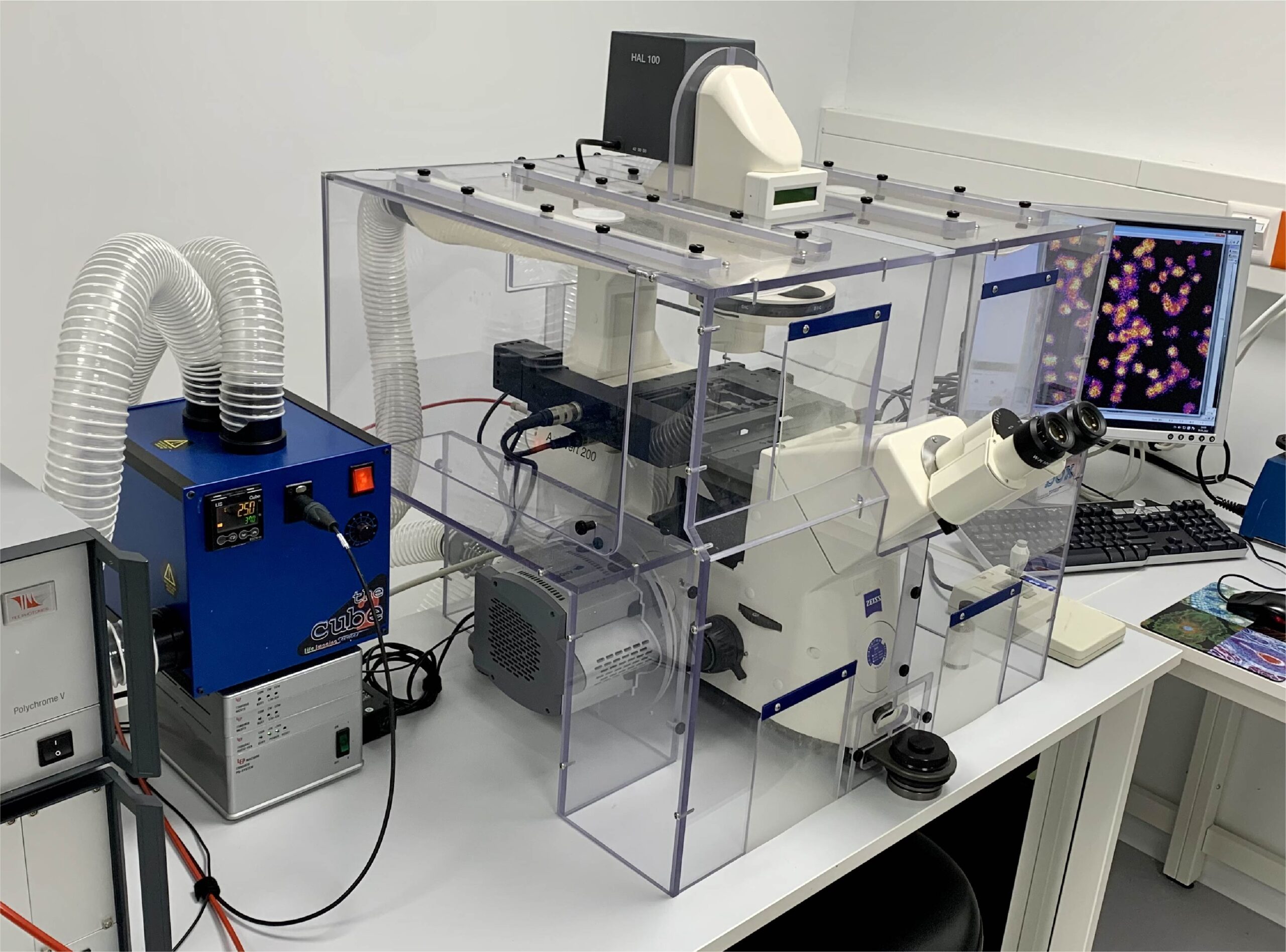 Microscopy - IRB USI