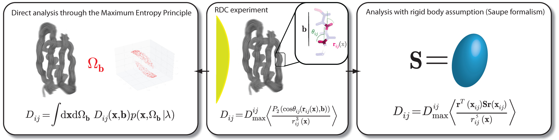 Computational Structural Biology - IRB USI